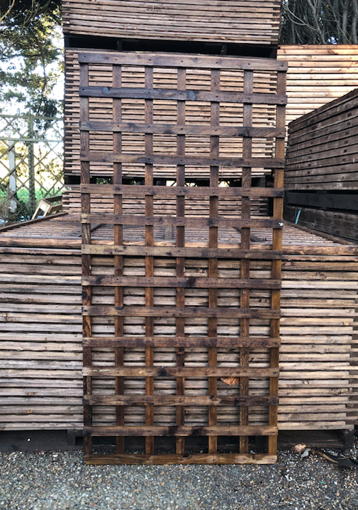 Dip Treated Square Trellis 6' x 2' - Daws Heath Timber Ltd